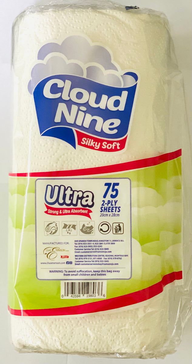 CLOUD NINE PAPER TOWEL (1 UNIT) – Fedlin Limited