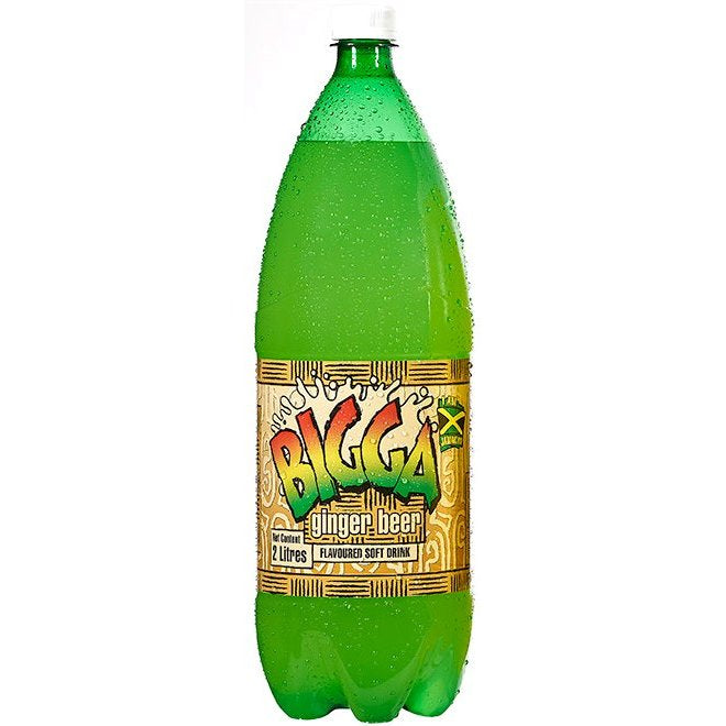 BIGGA SOFT DRINK (GINGER BEER, 2 L) – Fedlin Limited