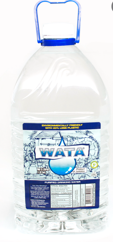 WATA PURIFIED DRINKING WATER (CASE, 5 L) – Fedlin Limited