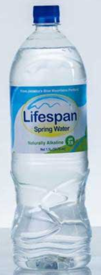 LIFESPAN SPRING BOTTLED WATER (1.5 L) – Fedlin Limited