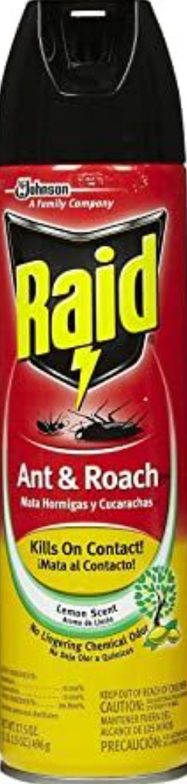 RAPID ANT & ROACH INSECTICIDE (496 G) – Fedlin Limited