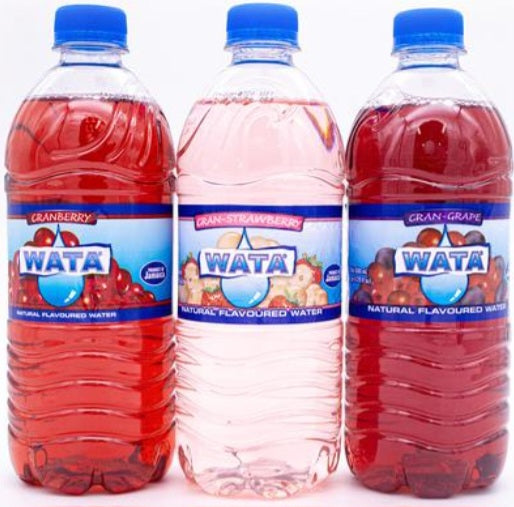 CRAN WATA (CASE, 600 ML/UNIT, ASSORTED FLAVORS) – Fedlin Limited
