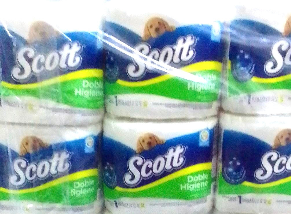 SCOTT TISSUE (CASE, 24 UNITS) – Fedlin Limited