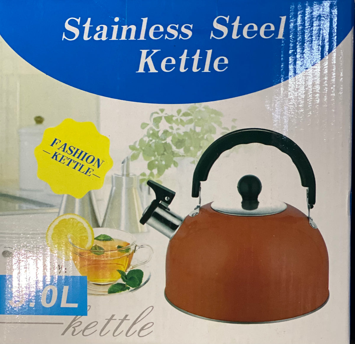 STAINLESS STEEL KETTLE (3.0 L CAPACITY) – Fedlin Limited
